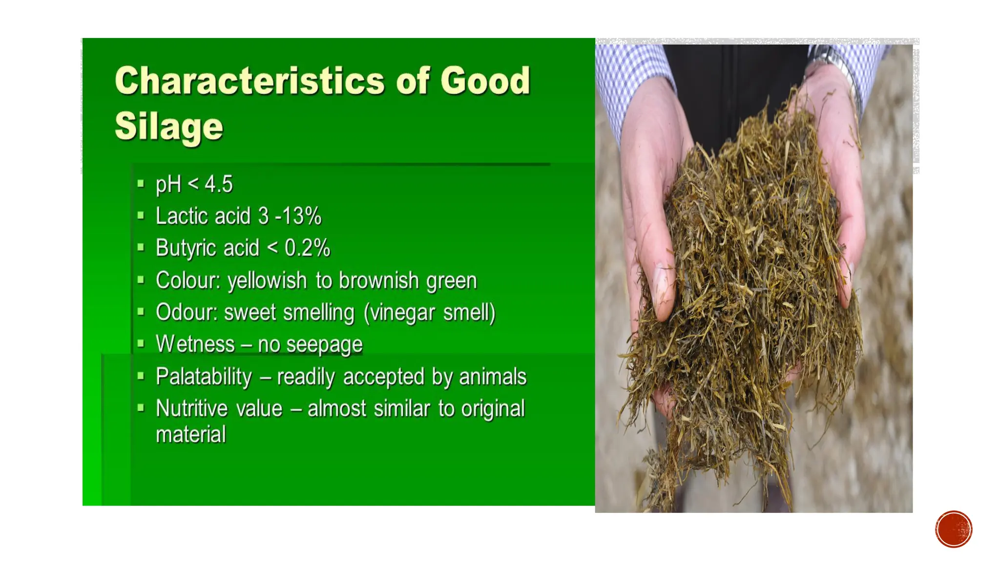 Introduction of Roughages and concentrates | PDF