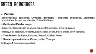 Introduction of Roughages and concentrates | PDF