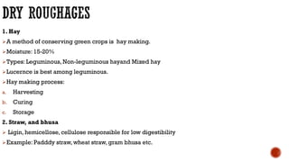 Introduction of Roughages and concentrates | PDF