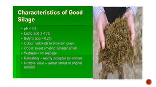 Introduction of Roughages and concentrates | PDF