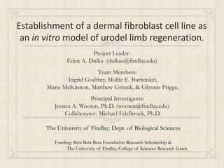 Rough draft pp of sigma xi sallies | PPT