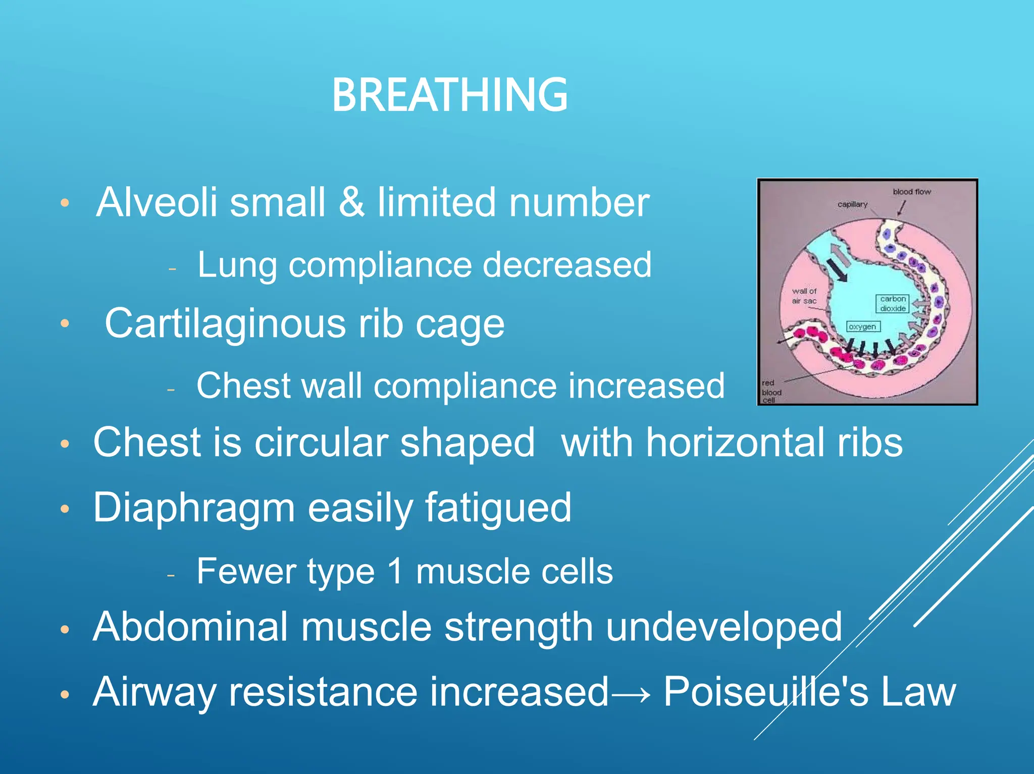 ROUGH DRAFT PPT.pptx for pediatric anaesthesia | PPT