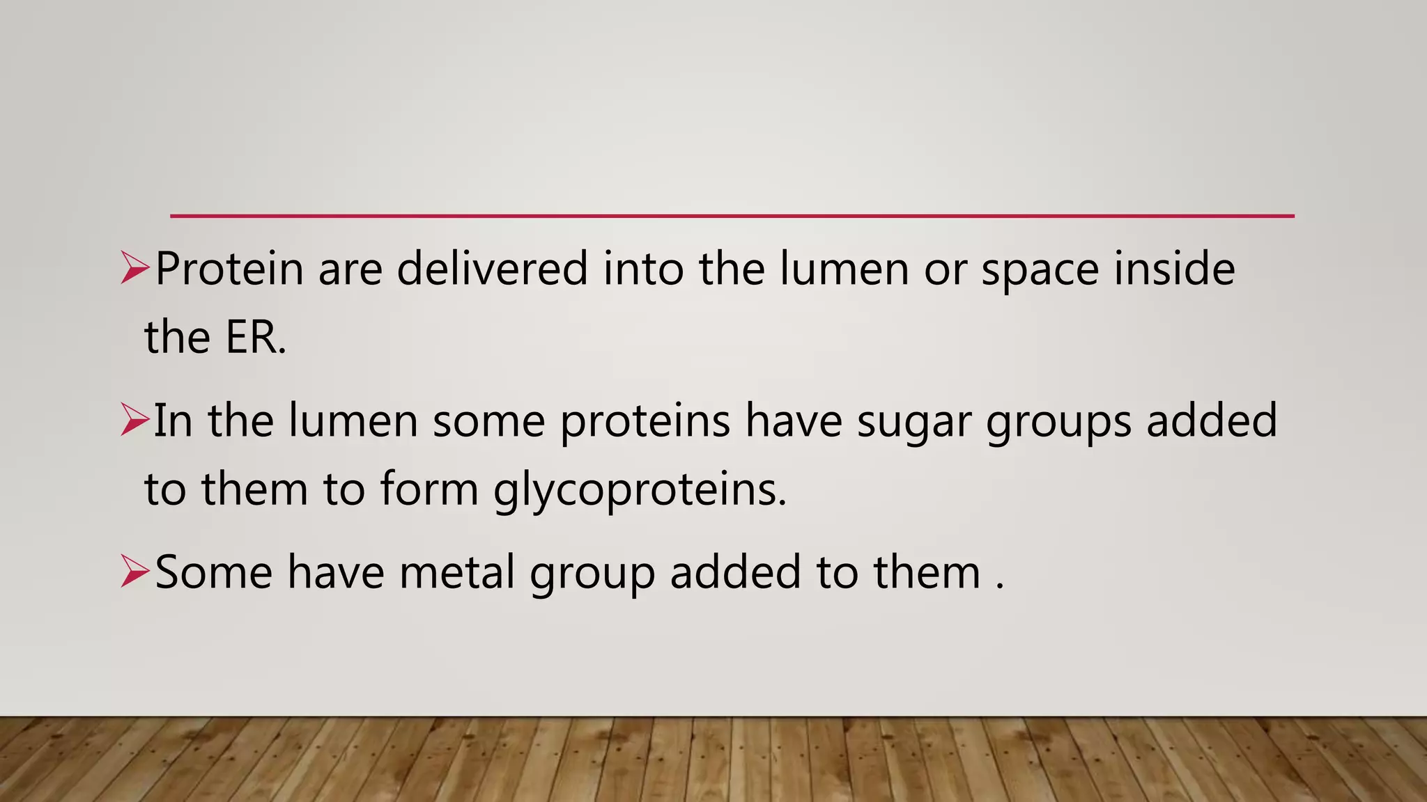 Rough endoplasmic reticulam (rer) ( introduction structure & function ...