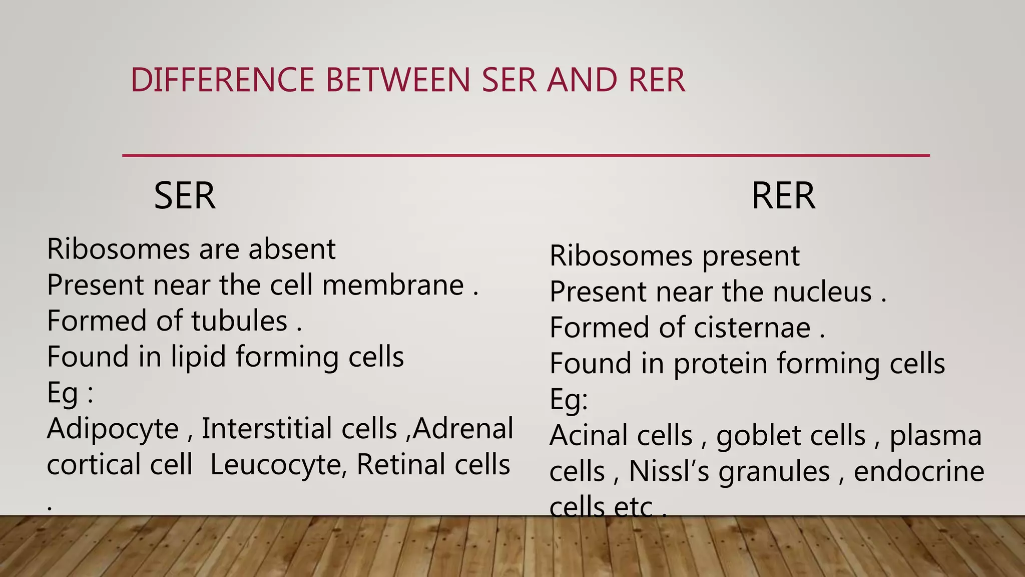Rough endoplasmic reticulam (rer) ( introduction structure & function ...
