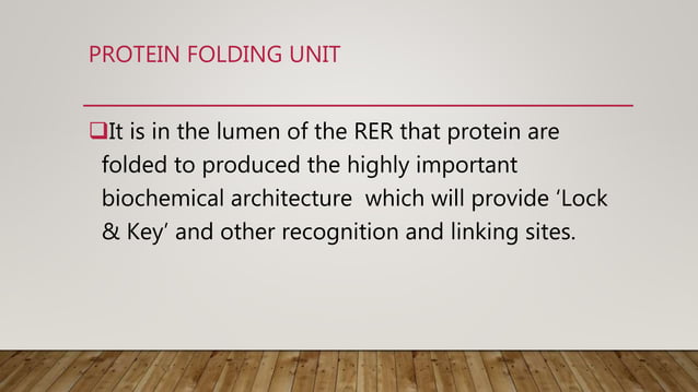 Rough endoplasmic reticulam (rer) ( introduction structure & function ...