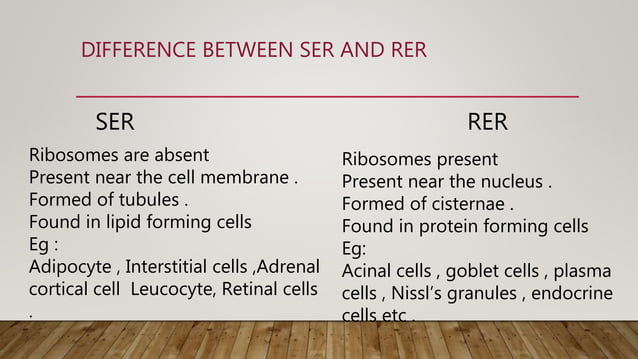Rough endoplasmic reticulam (rer) ( introduction structure & function) | PPTX