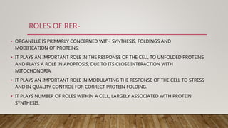 Rough endoplasmic reticulam (rer) ( introduction structure & function ...