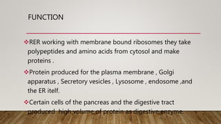 Rough endoplasmic reticulam (rer) ( introduction structure & function) | PPTX