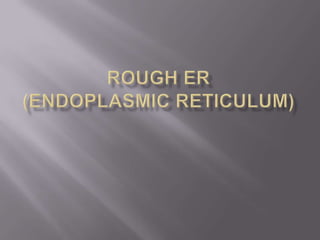 Rough er | PPT