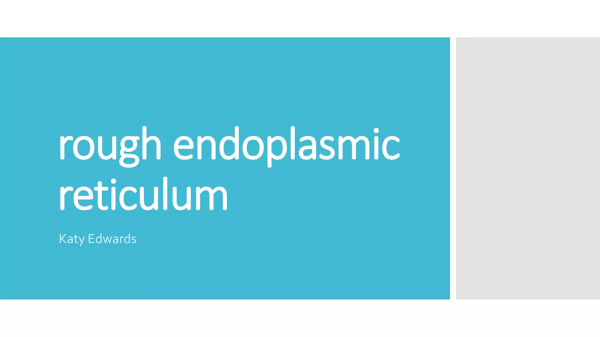 2018 Candidate - Rough Endoplasmic Reticulum | PPT