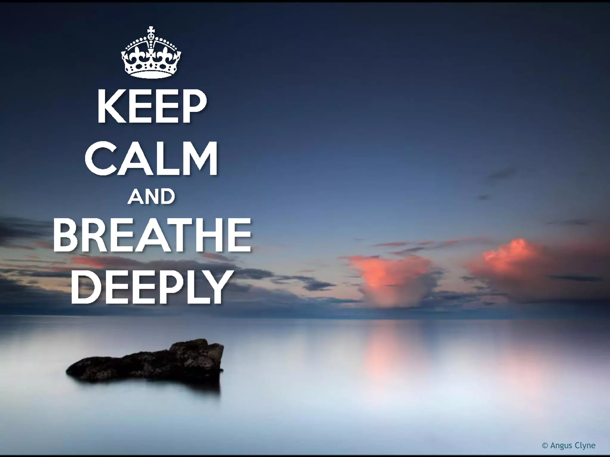 Leading through Change | PDF