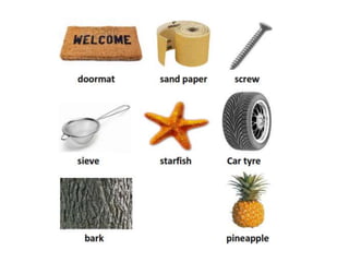 Images Of Rough Objects