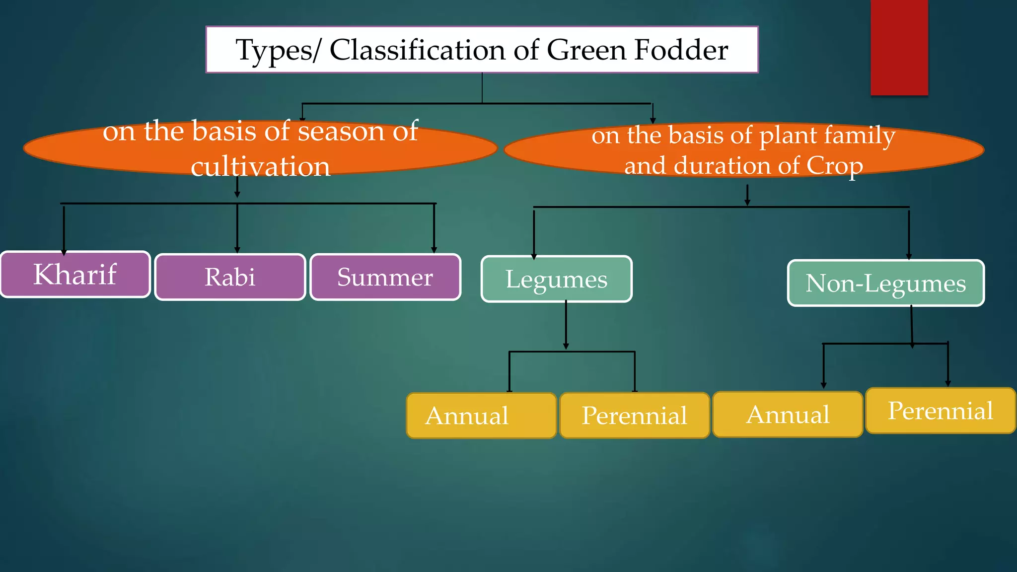 Round-the-year-fodder-production.pptx