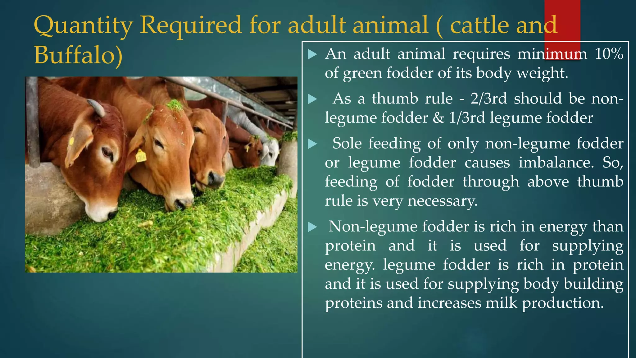 Round-the-year-fodder-production.pptx