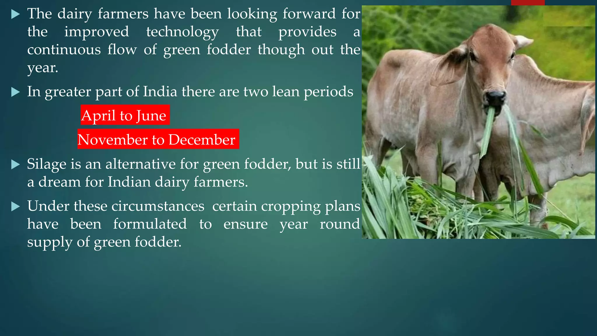 Round-the-year-fodder-production.pptx