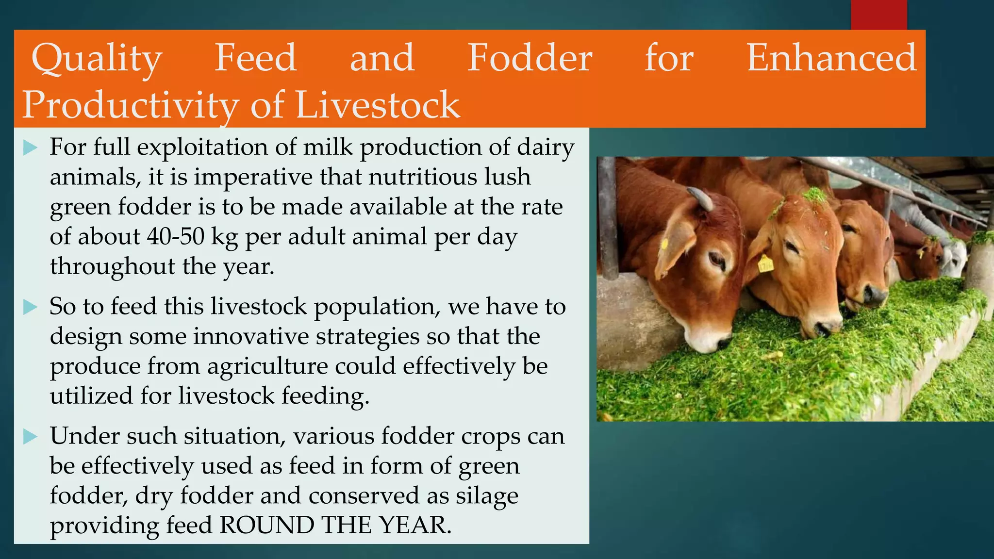 Round-the-year-fodder-production.pptx