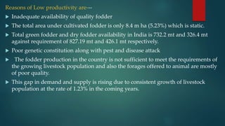 Round-the-year-fodder-production.pptx
