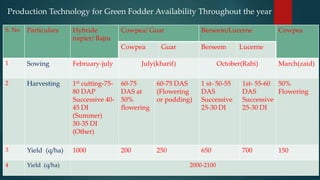 Round-the-year-fodder-production.pptx