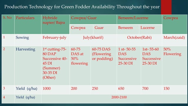 Round-the-year-fodder-production.pptx