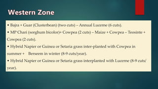 Round-the-year-fodder-production.pptx