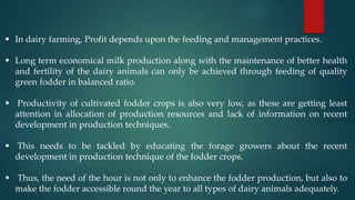 Round-the-year-fodder-production.pptx