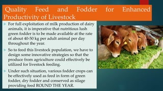 Round-the-year-fodder-production.pptx
