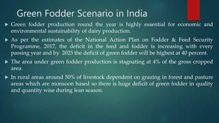 Round-the-year-fodder-production.pptx