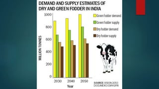 Round-the-year-fodder-production.pptx