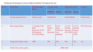 Round the-year-fodder-production (6) | PPTX