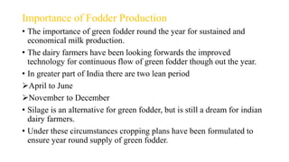 Round the-year-fodder-production (6) | PPTX