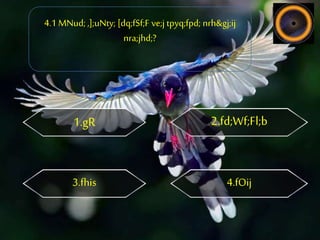 Tamil Bible quiz 2- Animals in the bible Part 1 | PPSX