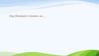 Optometry connection | PPTX