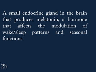 Brain of BITS 2013 - Round 5 (Anagrams Round) | PPTX