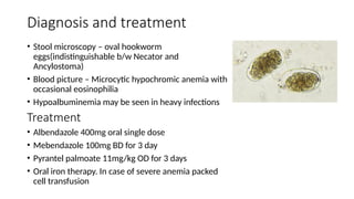 Clinical overview of Roundworm, Hookworm and Pinworm | PPTX