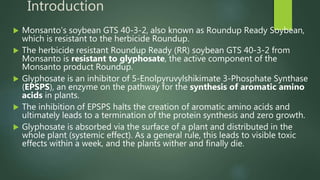 Roundup Ready Soybean Controversies | PPTX