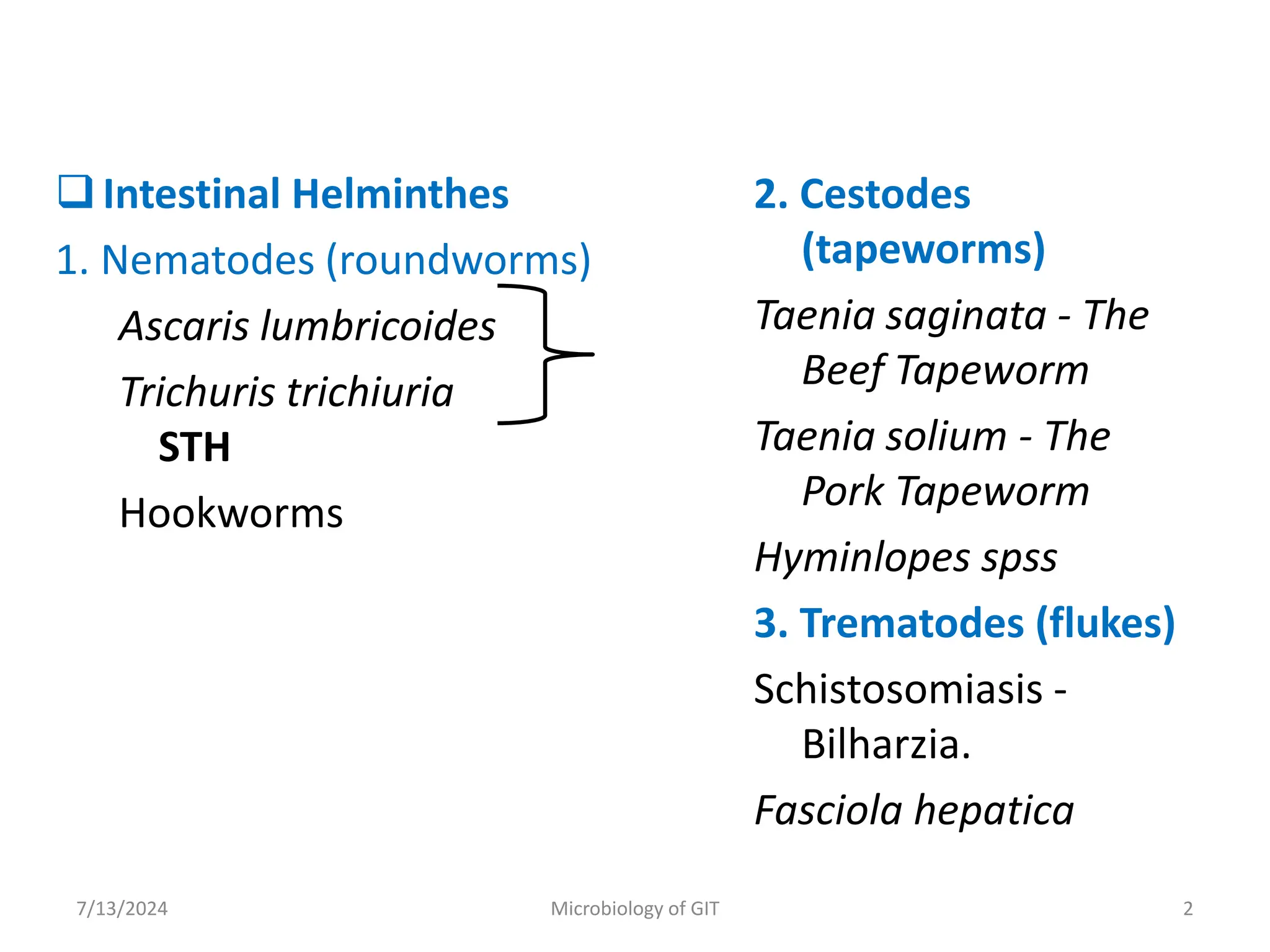 Round warms. Round worms round wormspptx | PPTX