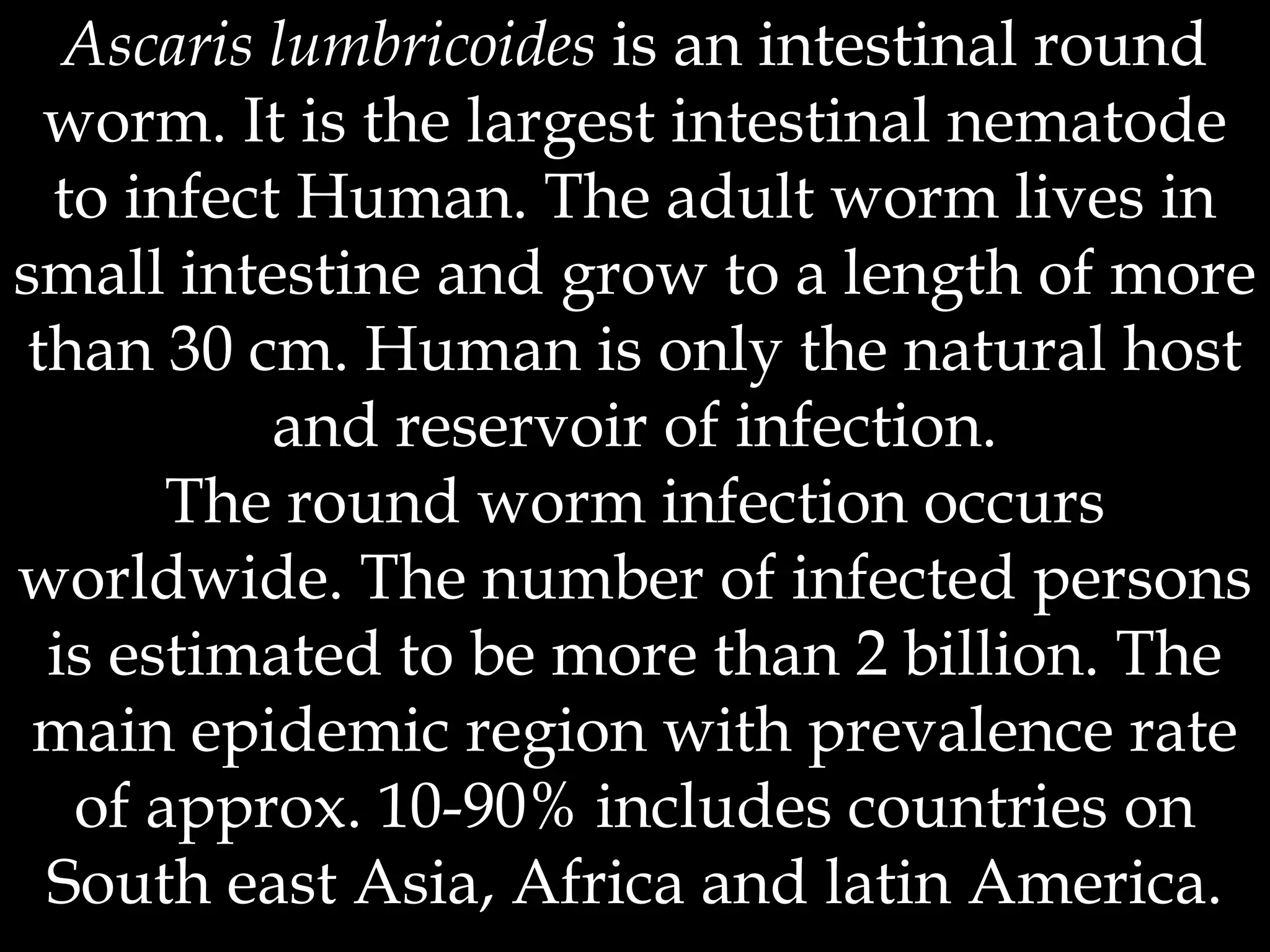 Roundworm.MicroBiology.ppt