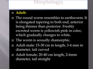 Roundworm.MicroBiology.ppt