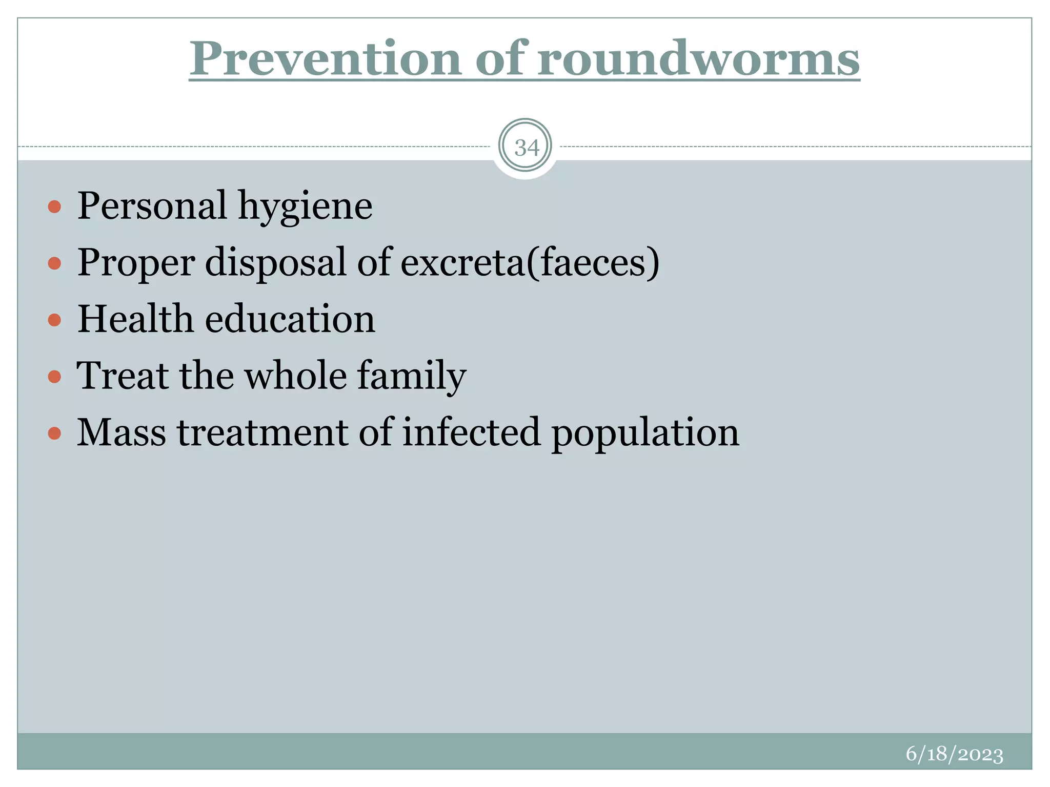 Round Worm.ppt