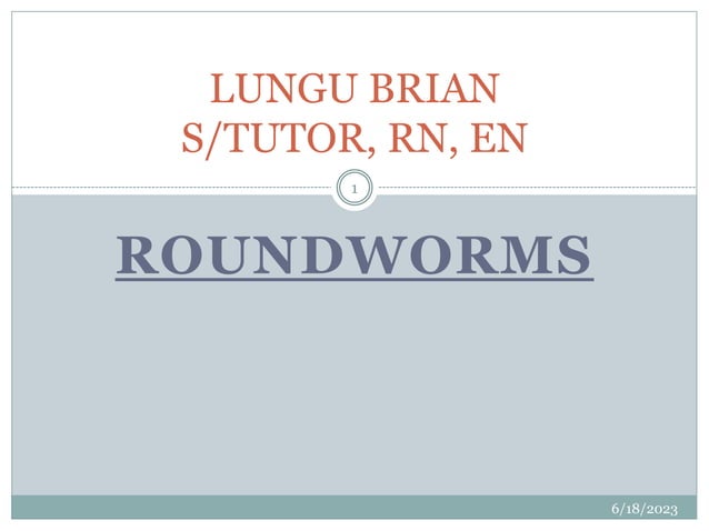 Round Worm.ppt