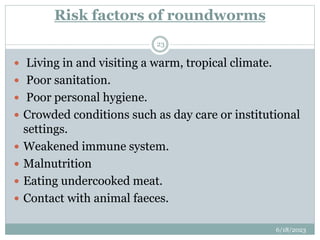 Round Worm.ppt