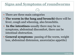 Round Worm.ppt