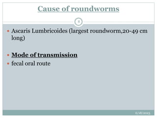 Round Worm.ppt
