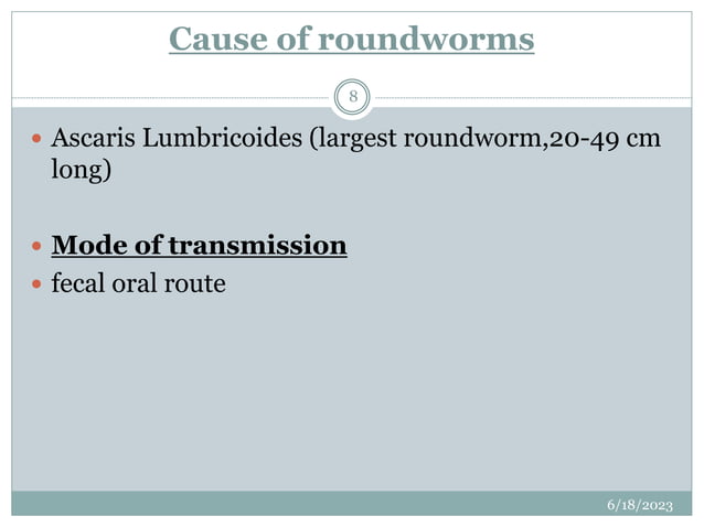 Round Worm.ppt