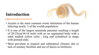 ROUNDWORM(AscarisLumbricoid)alina karki copy.pptx
