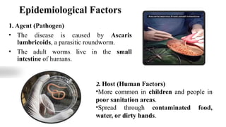 ROUNDWORM(AscarisLumbricoid)alina karki copy.pptx