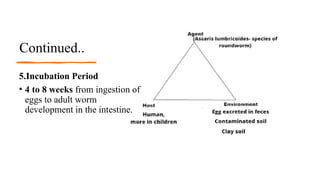 ROUNDWORM(AscarisLumbricoid)alina karki copy.pptx