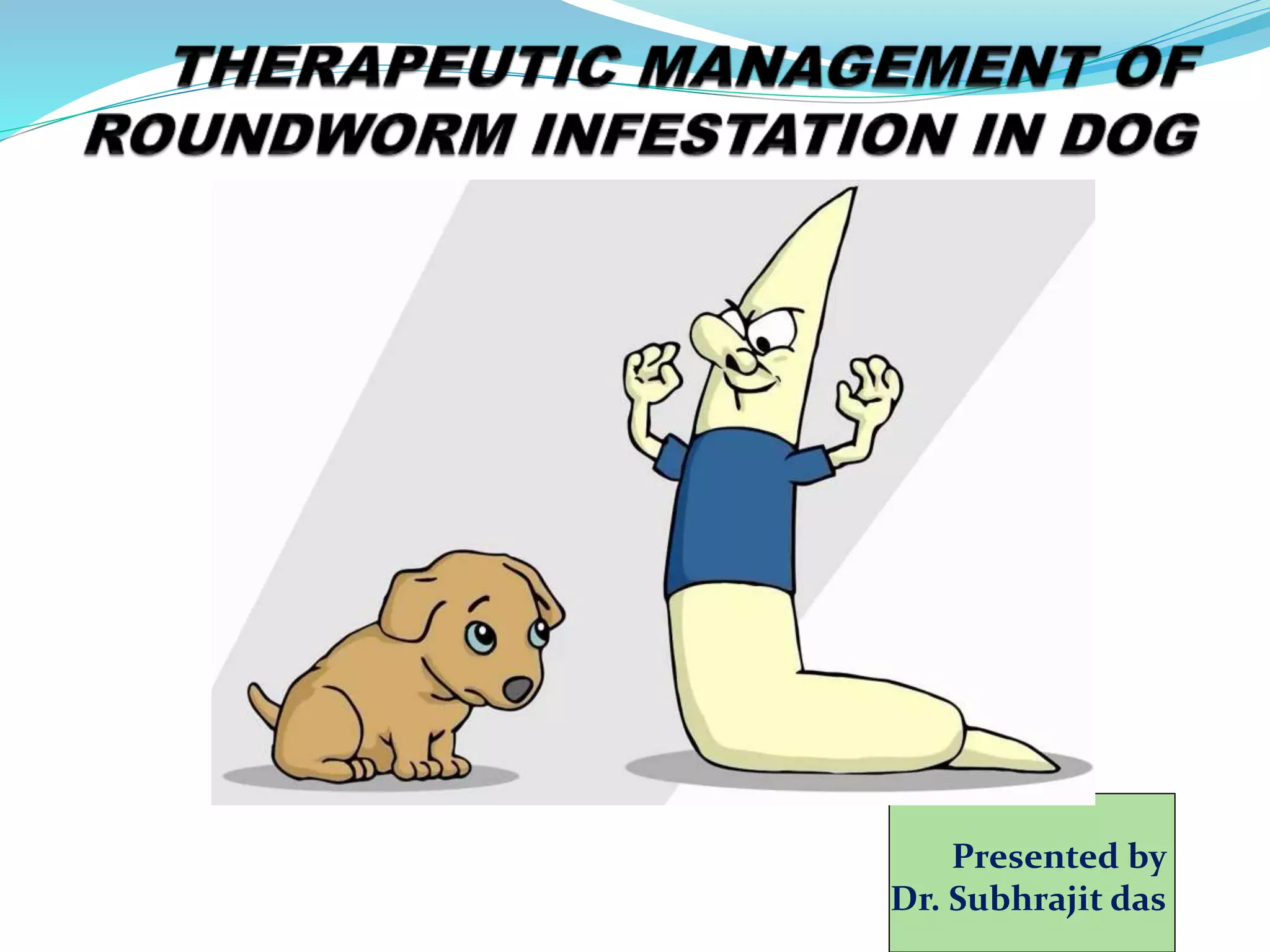 Round Worm infestation of Dog | PPT