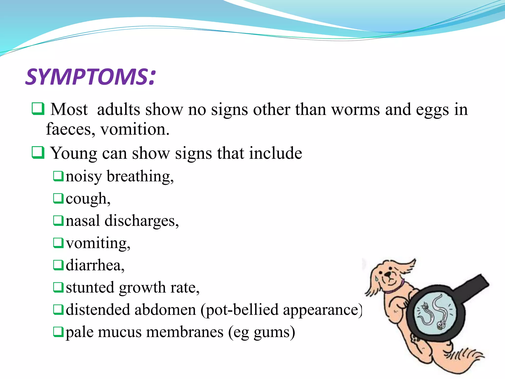Round Worm infestation of Dog | PPT