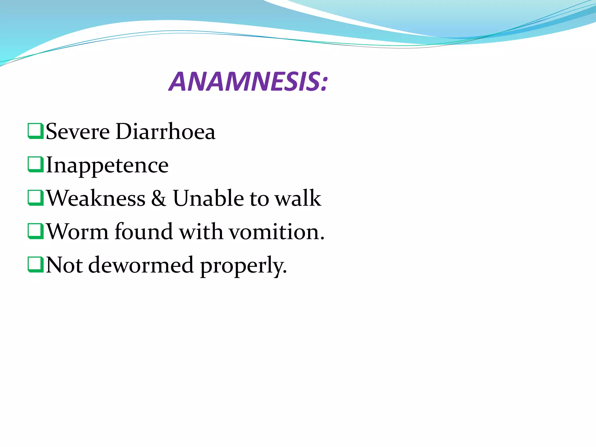 Round Worm infestation of Dog | PPT